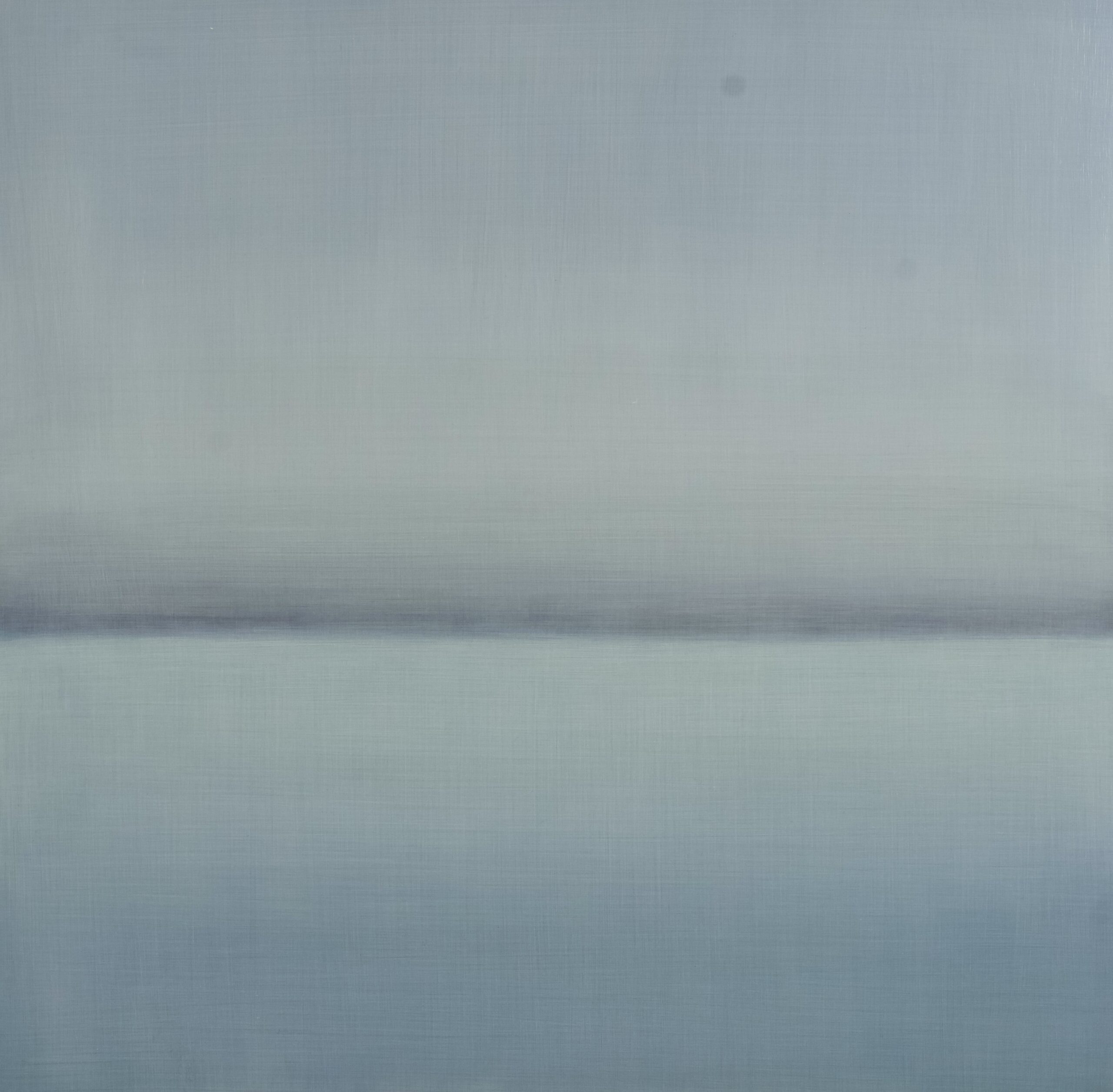 Light, Reflection, Fields - Leora Armstrong